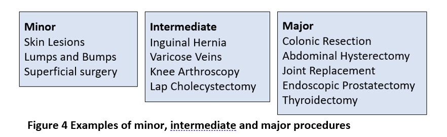 Day Surgery Booklet - International Association for Ambulatory Surgery