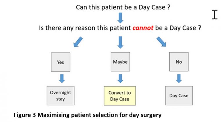 Day Surgery Booklet - International Association for Ambulatory Surgery